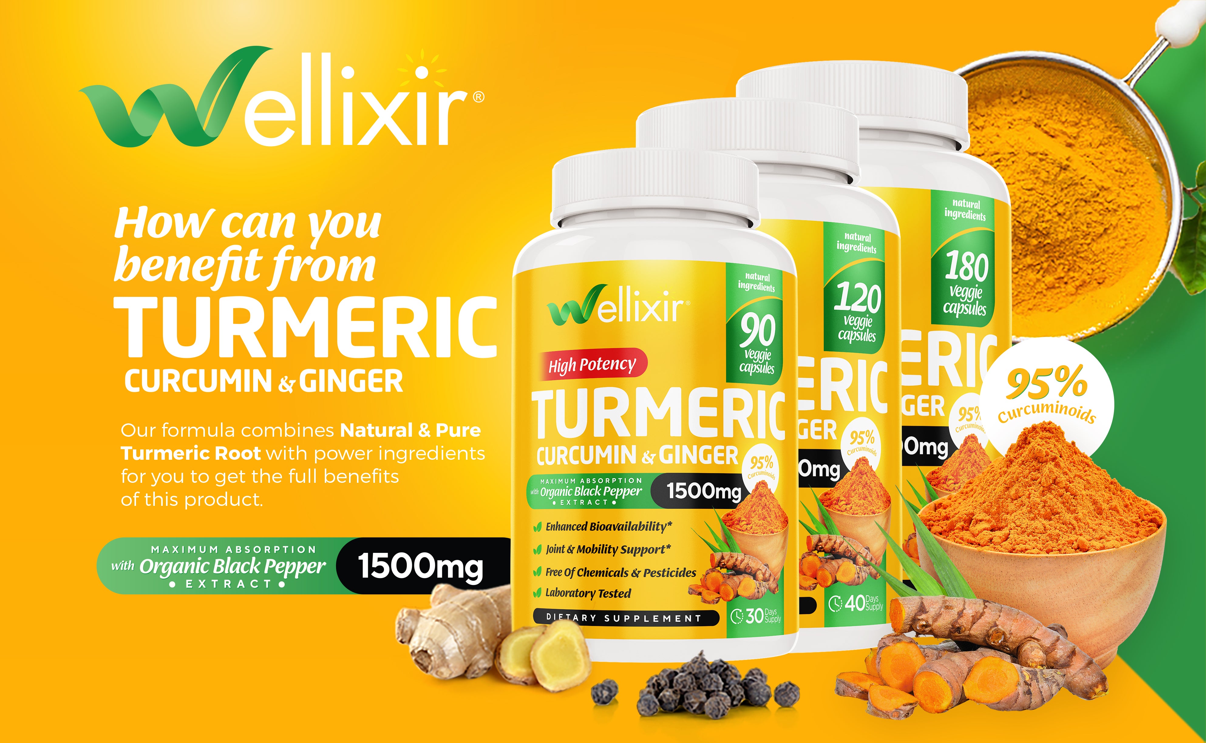 WELLIXIR - Best Turmeric Curcumin – Wellixir